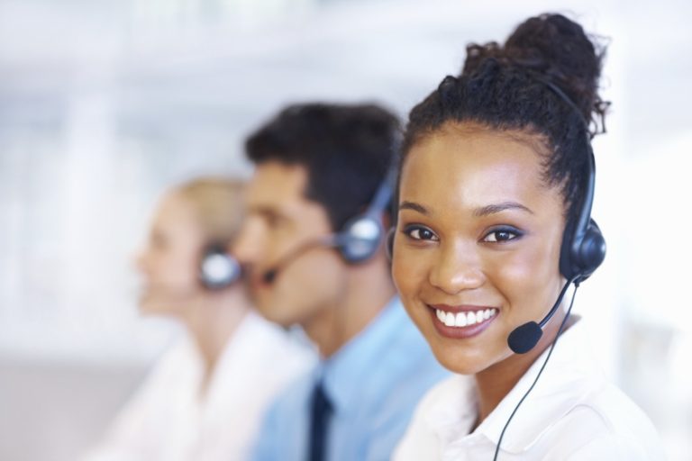 Great Customer Service in Government: Setting Standards and ...
